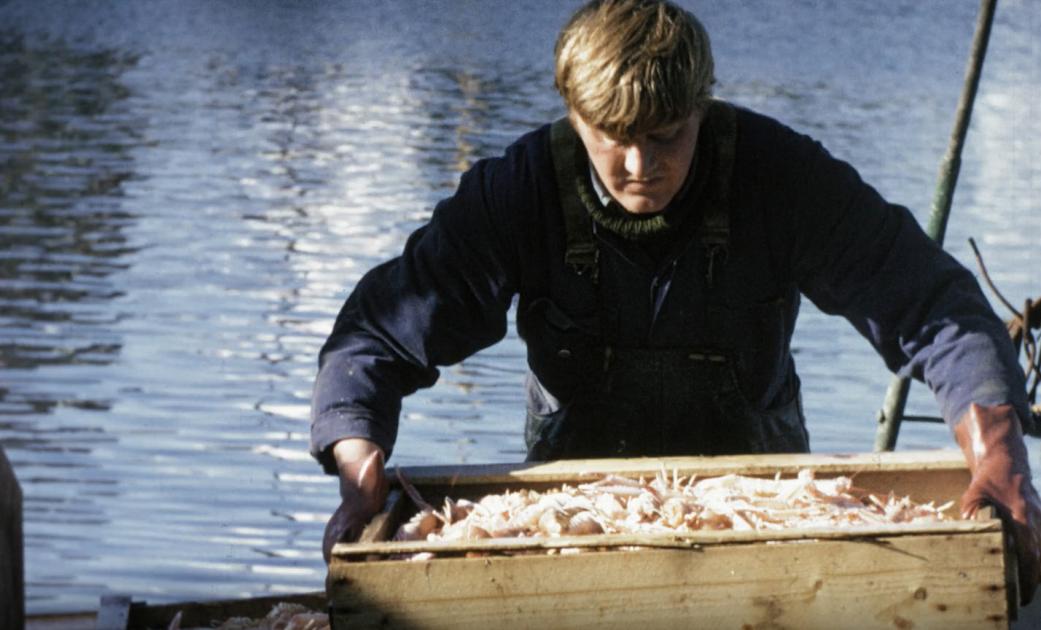 En ø i havet - Læsø | Danmark på Film